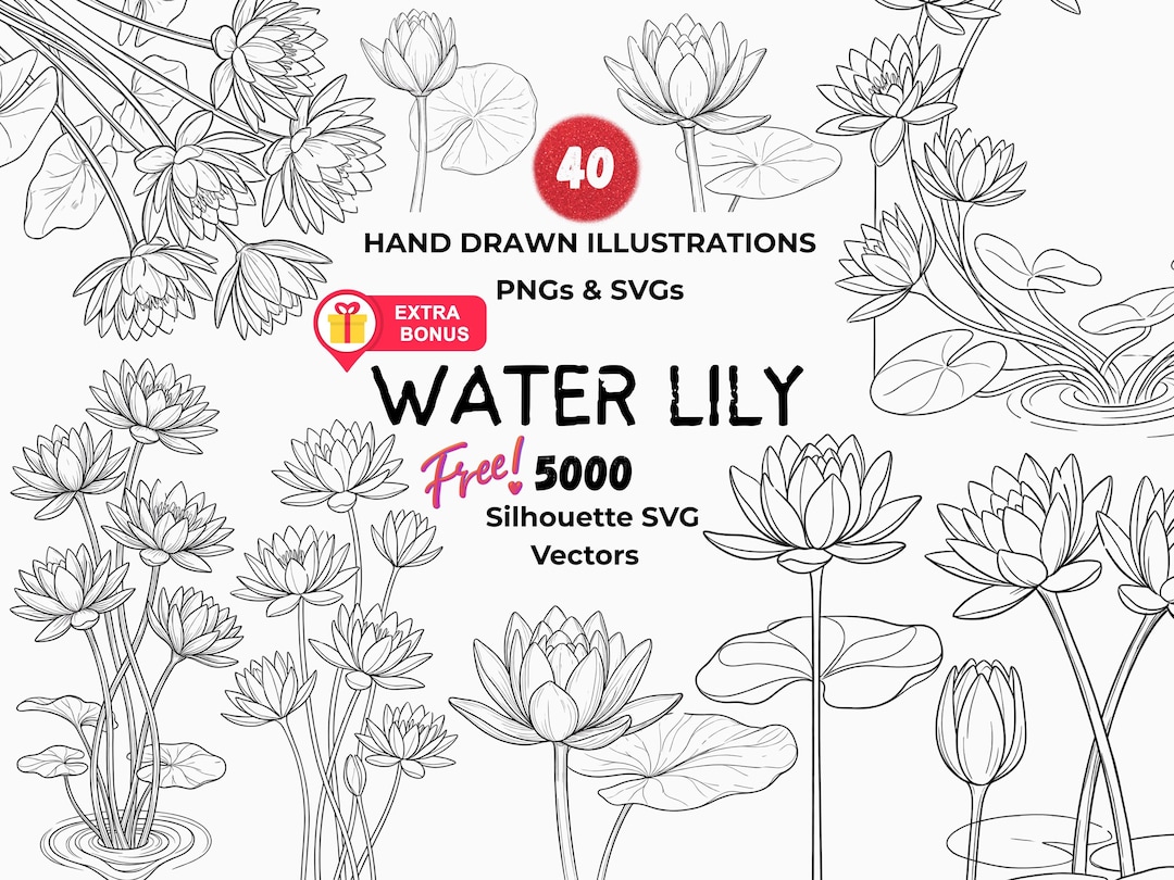 Water Lily SVG PNG, Birth Month Wildflower Clipart, Botanical Line Art ...