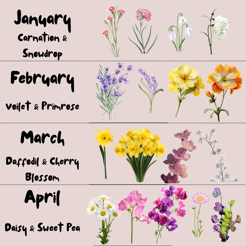Birth Month Flower Clipart Bundle, Watercolor Floral PNG SVG (instant ...