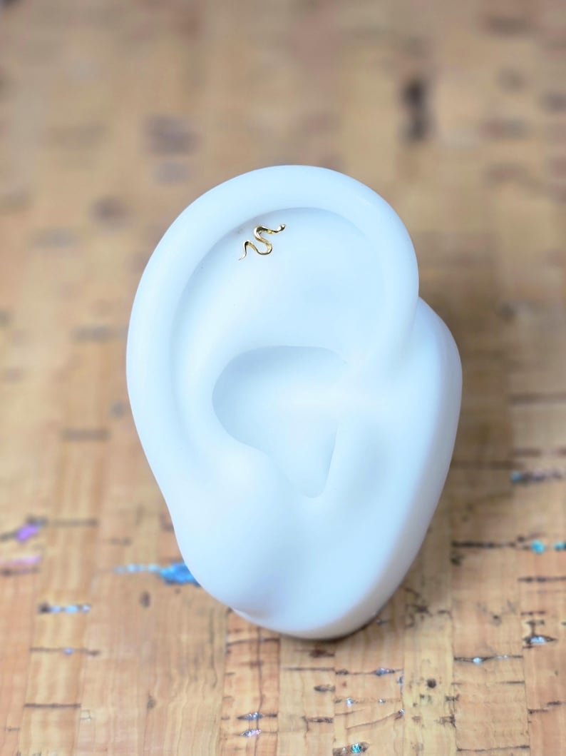 Titanium Piercing Jewelry, Snake, Gold-colored Titanium - Helix, Tragus ...