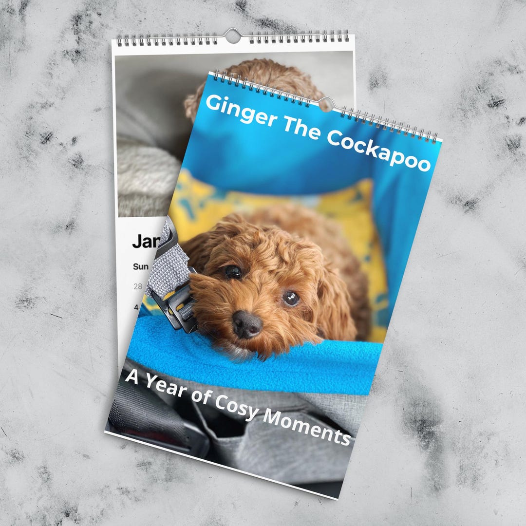 Ginger the Cockapoo 2026 Calendar, Cute Dog Wall Calendar, Cockapoo ...