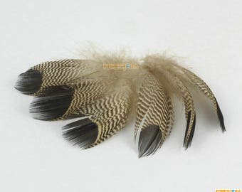 Brown feathers | Etsy