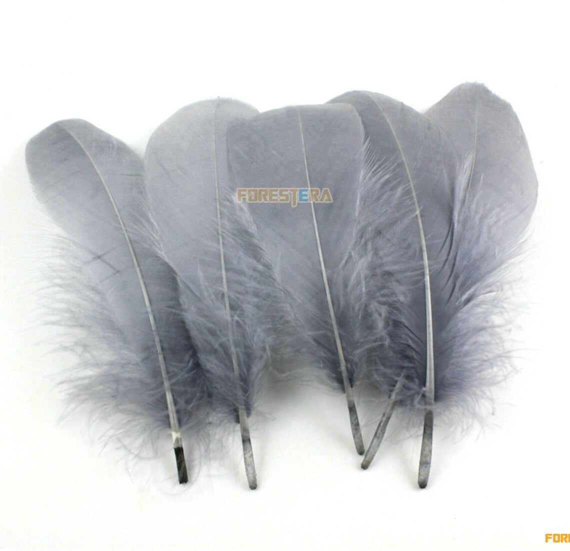 50 Pieces Gray Feather 10-15cm YM109 - Etsy