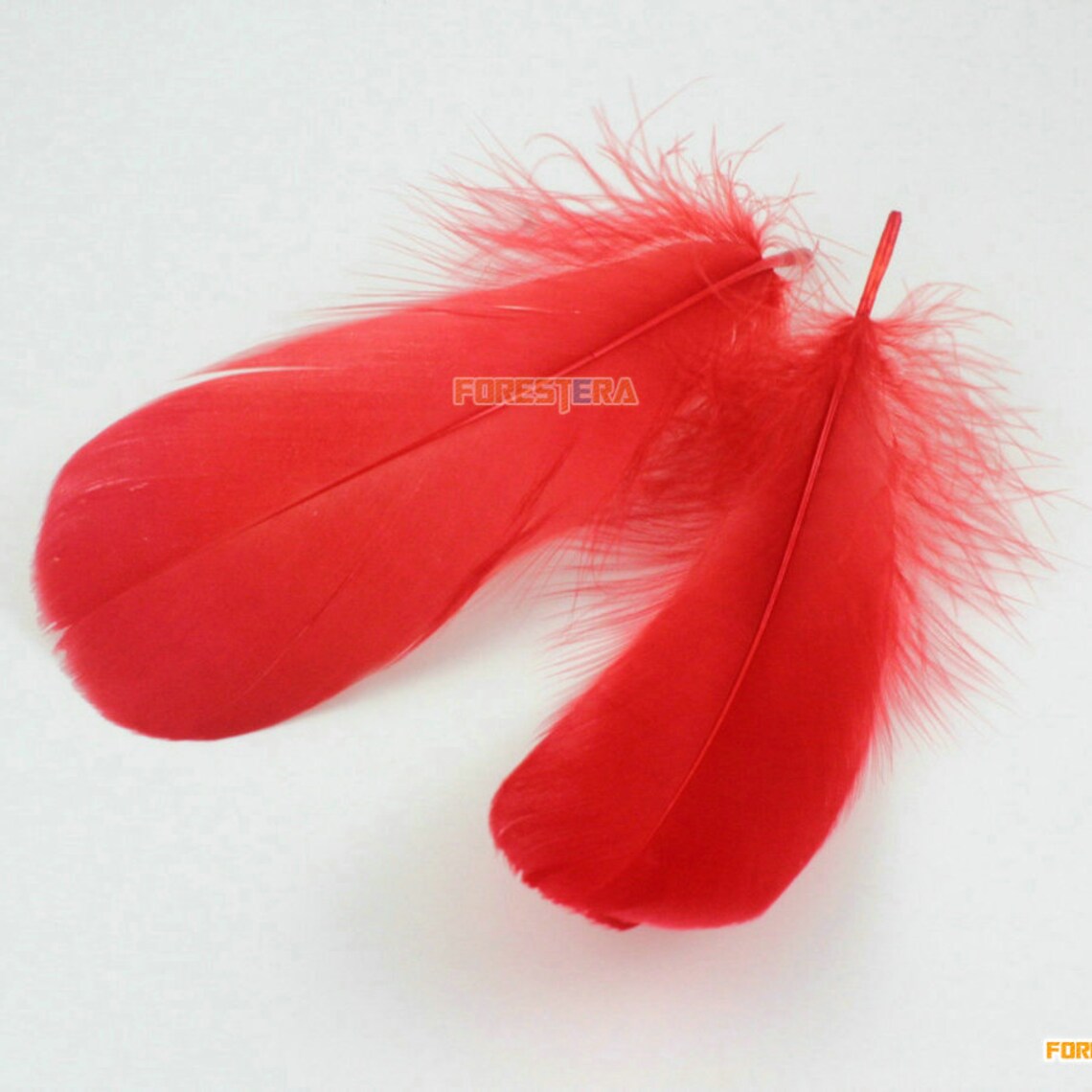 50 Piezas Pluma Roja 10-15cm YM96 - Etsy España