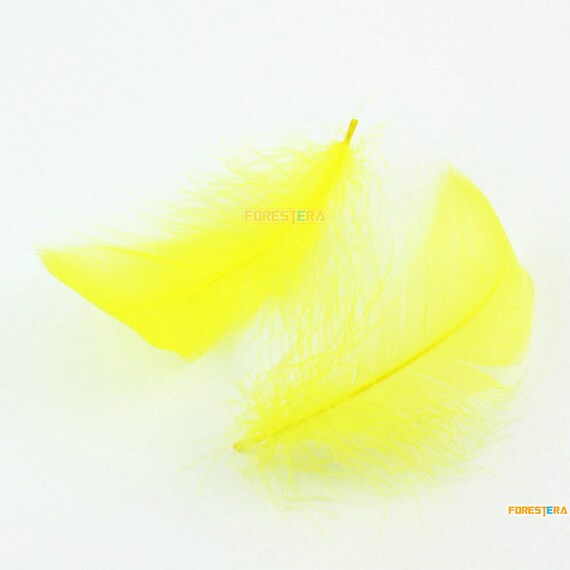 100 Pieces Yellow Feather 5-8cm YM216 - Etsy