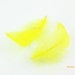 100 Pieces Yellow Feather 5-8cm YM216 - Etsy