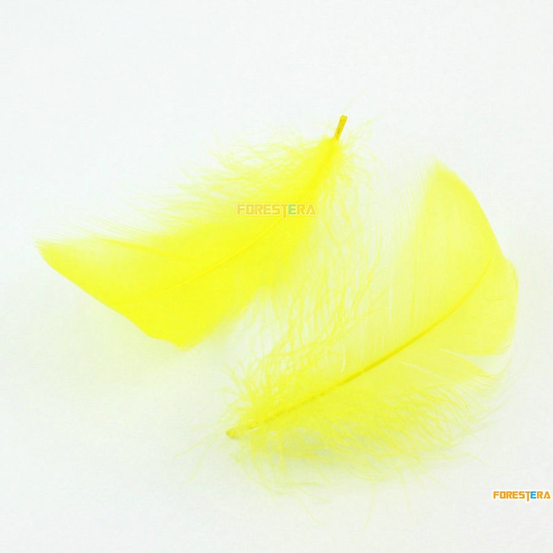 Yellow Feather - Etsy