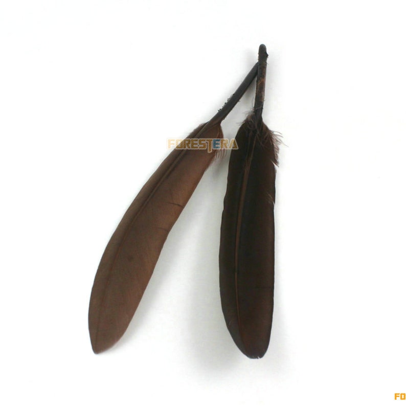 50 Pieces Dark Brown Feather 9-15cm (YM150) - Etsy