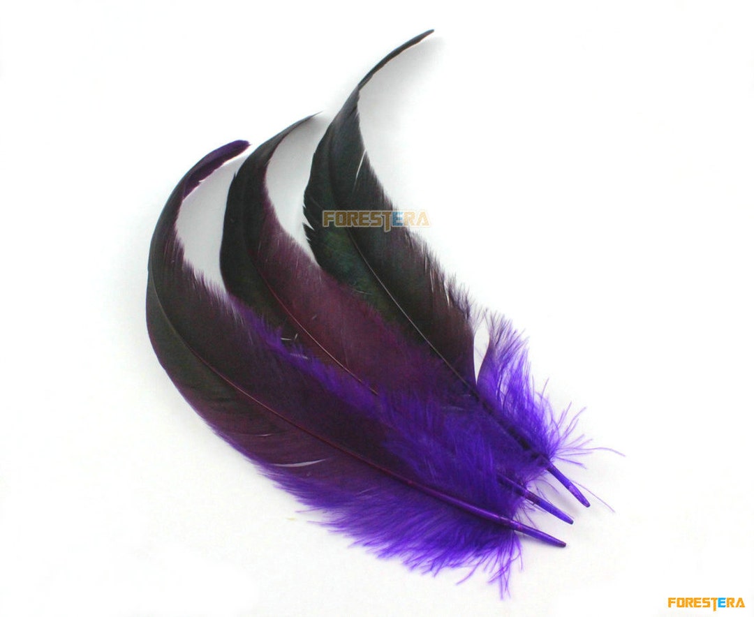 10 Pieces Purple Feather 18-30cm (YM62) - Etsy