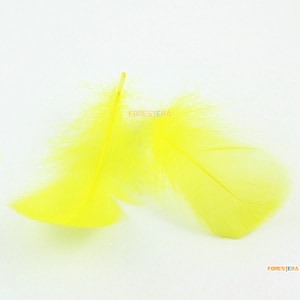 100 Pieces Yellow Feather 5-8cm (YM216) - Etsy
