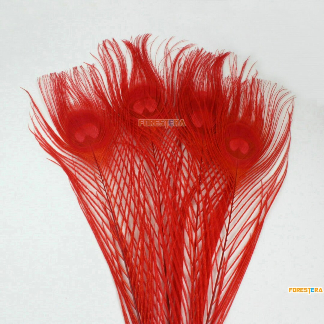 10 Pieces Red Peacock Feather 25-30cm YM305 - Etsy