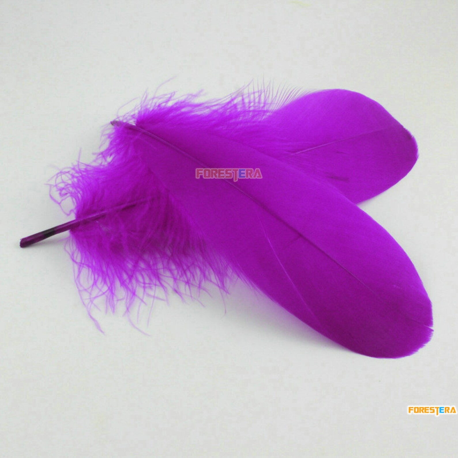 50 Pieces Purple Feather 10-15cm YM102 | Etsy