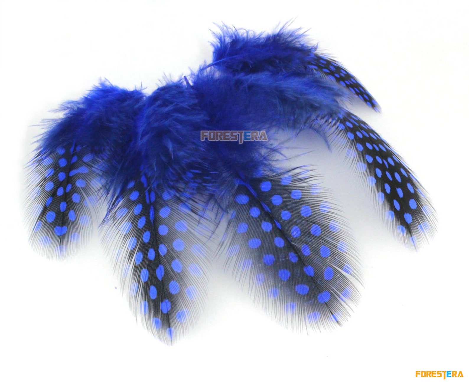 50 Pieces Blue Feather 4.5-10cm (YM74) - Etsy