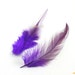 50 Pieces Purple Feather 8-15cm (YM49) - Etsy