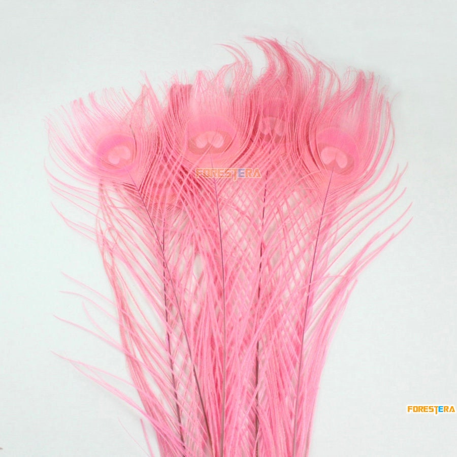 10 Pieces Pink Peacock Feather 25-30cm YM311 | Etsy