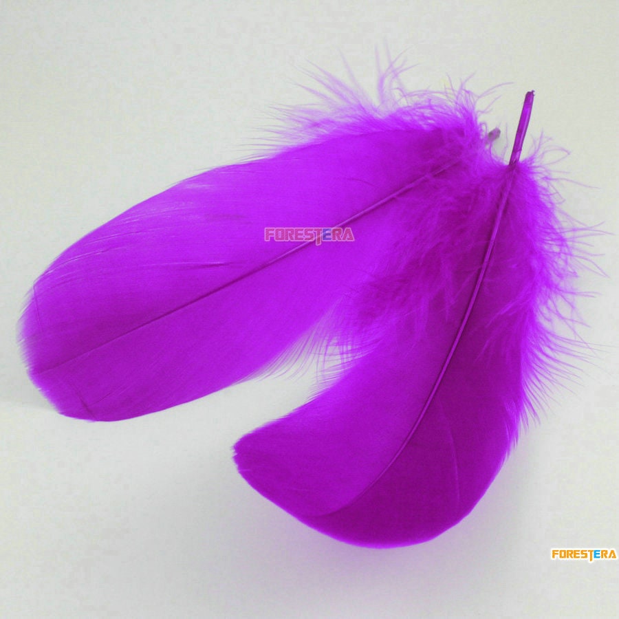 50 Pieces Purple Feather 10-15cm (YM102) - Etsy