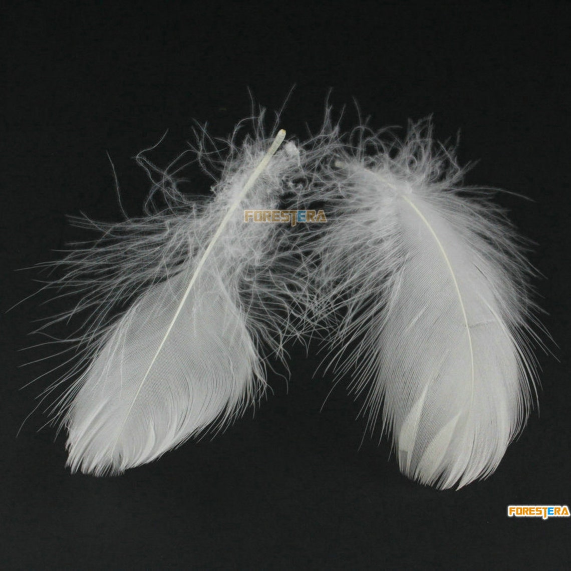 100 Pieces White Feather 5-8cm YM225 | Etsy
