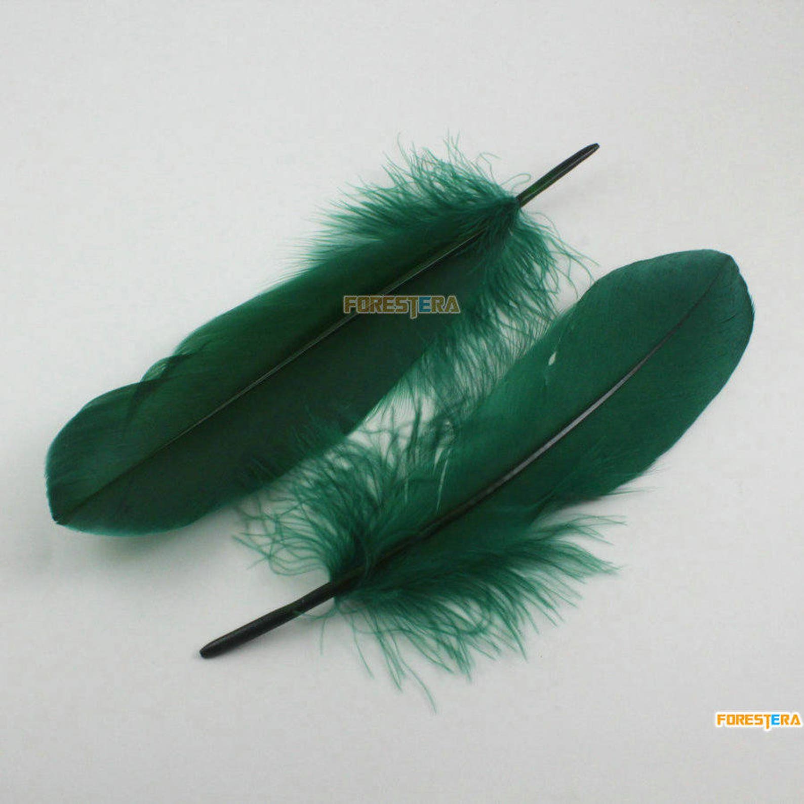50 Pieces Dark Green Feather 14-20cm YM335 | Etsy