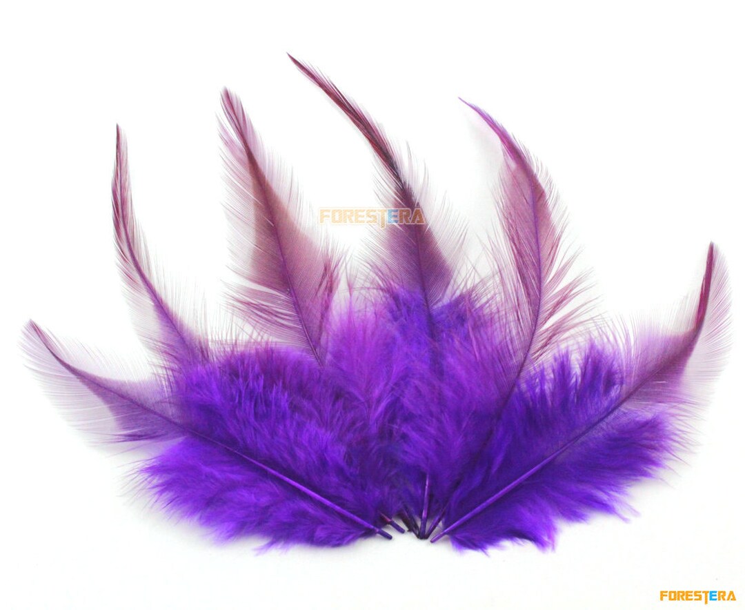 50 Pieces Purple Feather 8-15cm (YM49) - Etsy