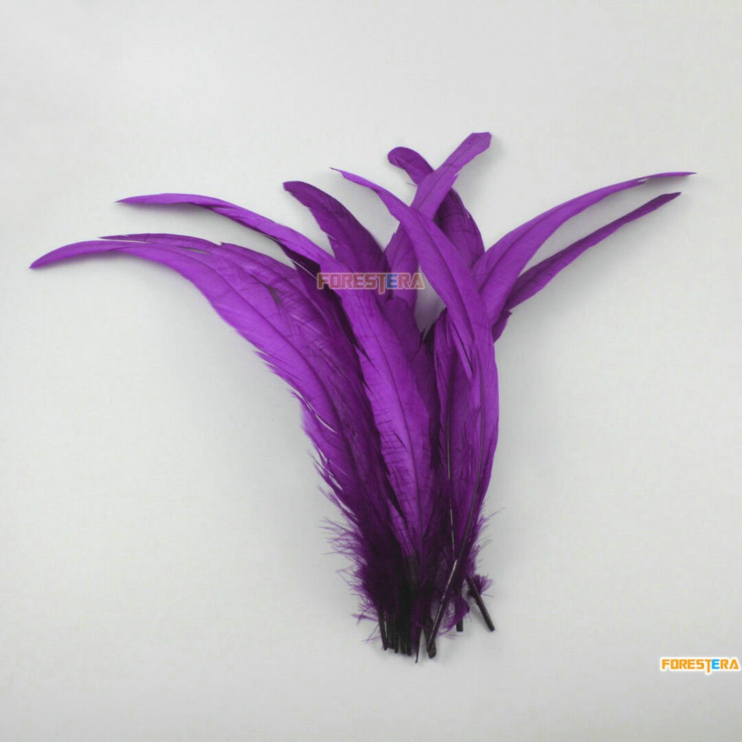 10 pezzi viola piuma 35-40cm YM582 - Etsy Italia
