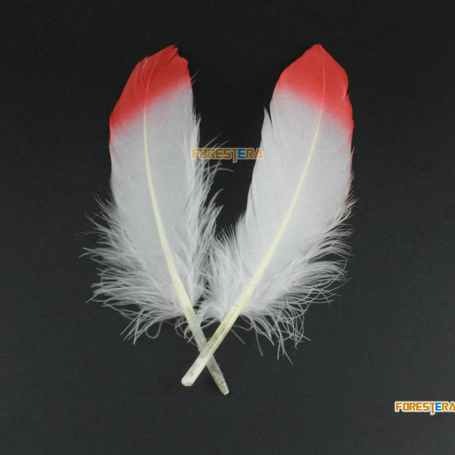 10 Pieces White Feather Red Painted Feather 14-20cm YM474 - Etsy UK