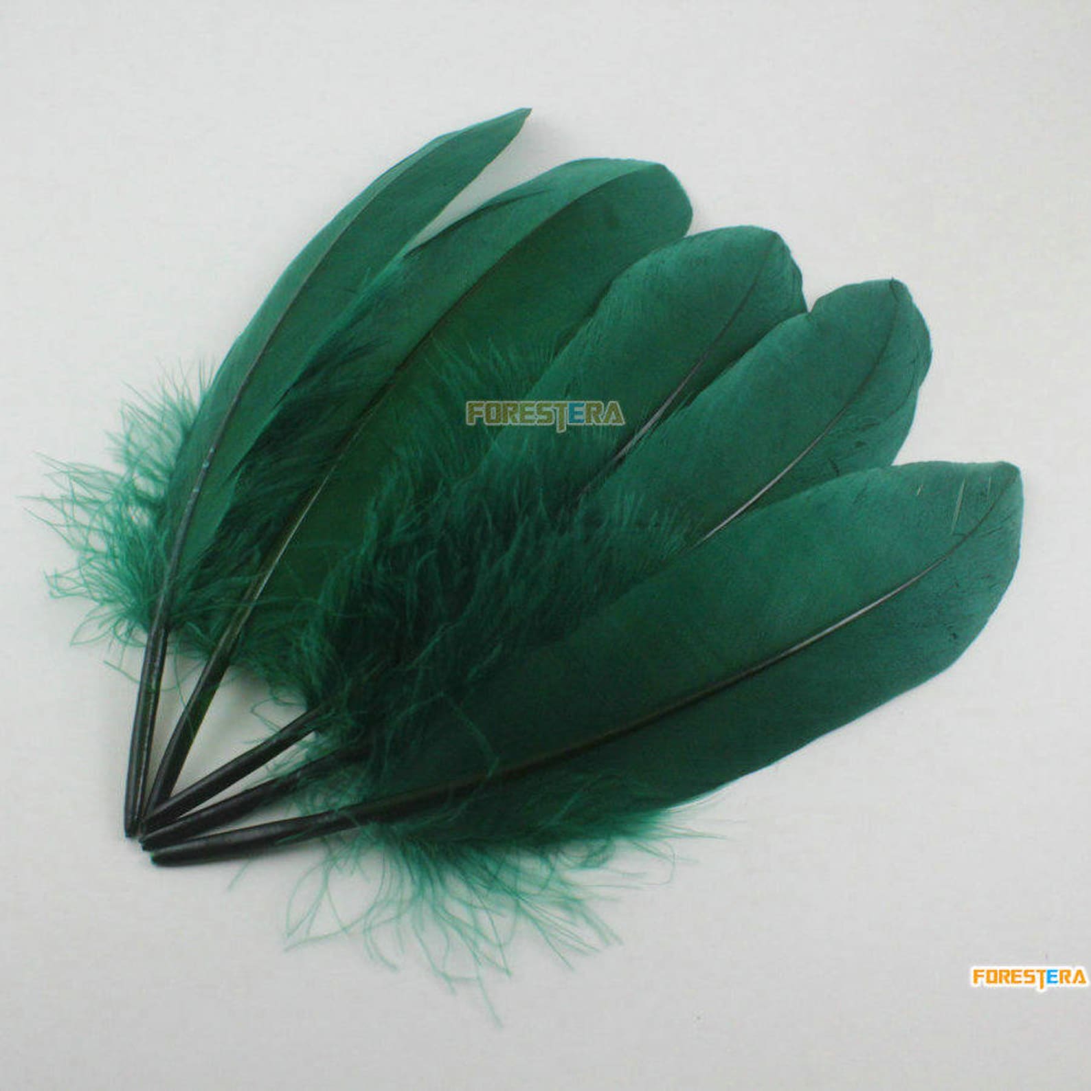 50 Pieces Dark Green Feather 14-20cm YM335 | Etsy