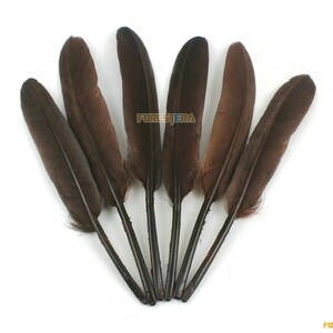 50 Pieces Dark Brown Feather 9-15cm (YM150) - Etsy