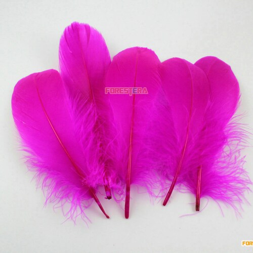 50 Pieces Pink Feather 10-15cm YM98 - Etsy