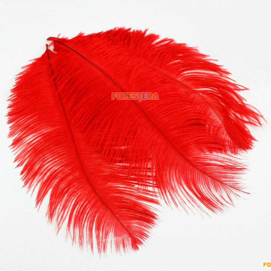 2 Pieces Red Feather 20-25cm YM126 - Etsy