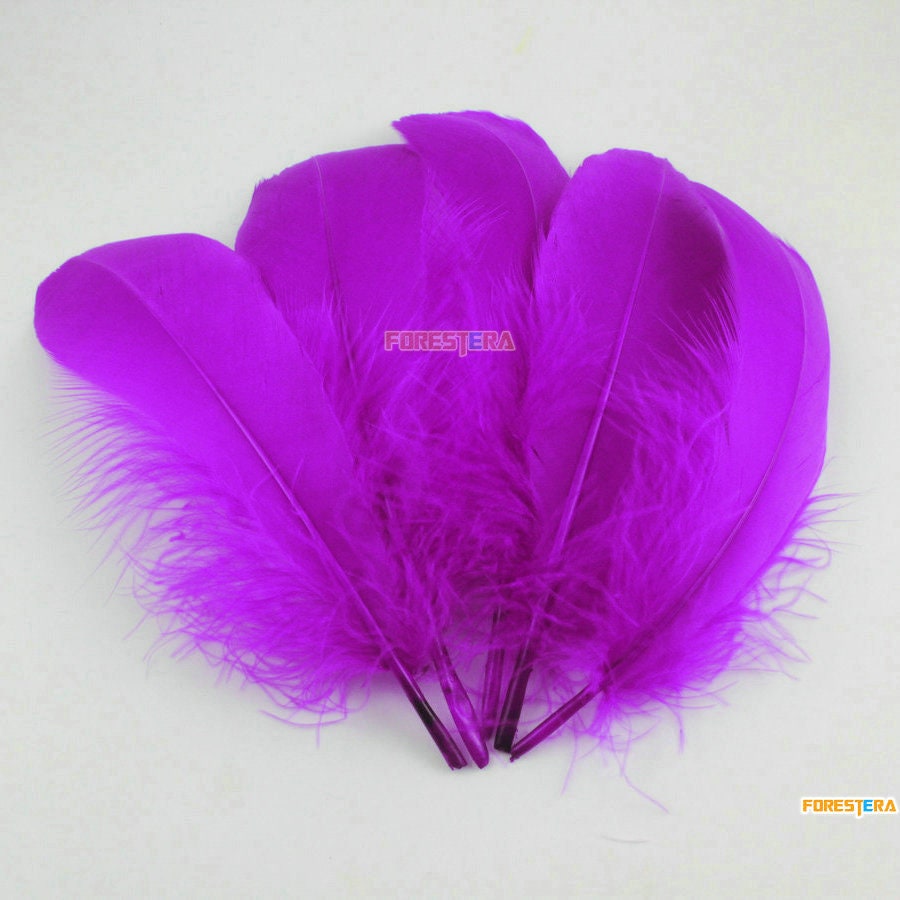 50 Pieces Purple Feather 10-15cm (YM102) - Etsy