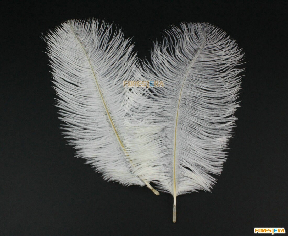 10 Pieces White Feather 14-20cm YM12 | Etsy