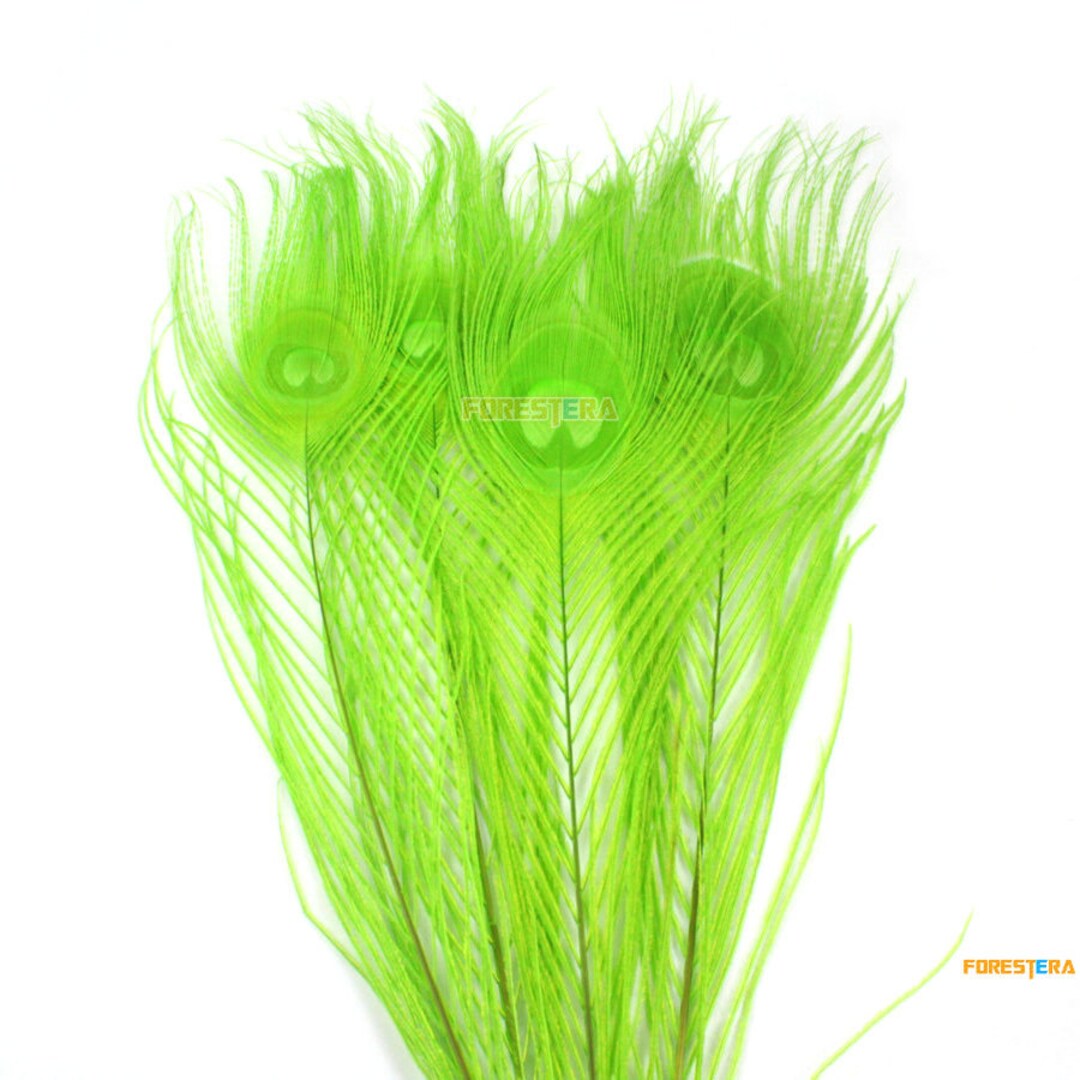 10 Pieces Green Peacock Feather 25-30cm (YM304) - Etsy