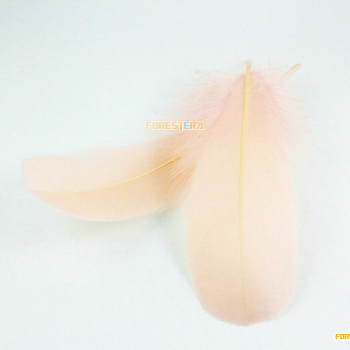 50 Pieces Peach Pink Feather 10-15cm YM106 - Etsy