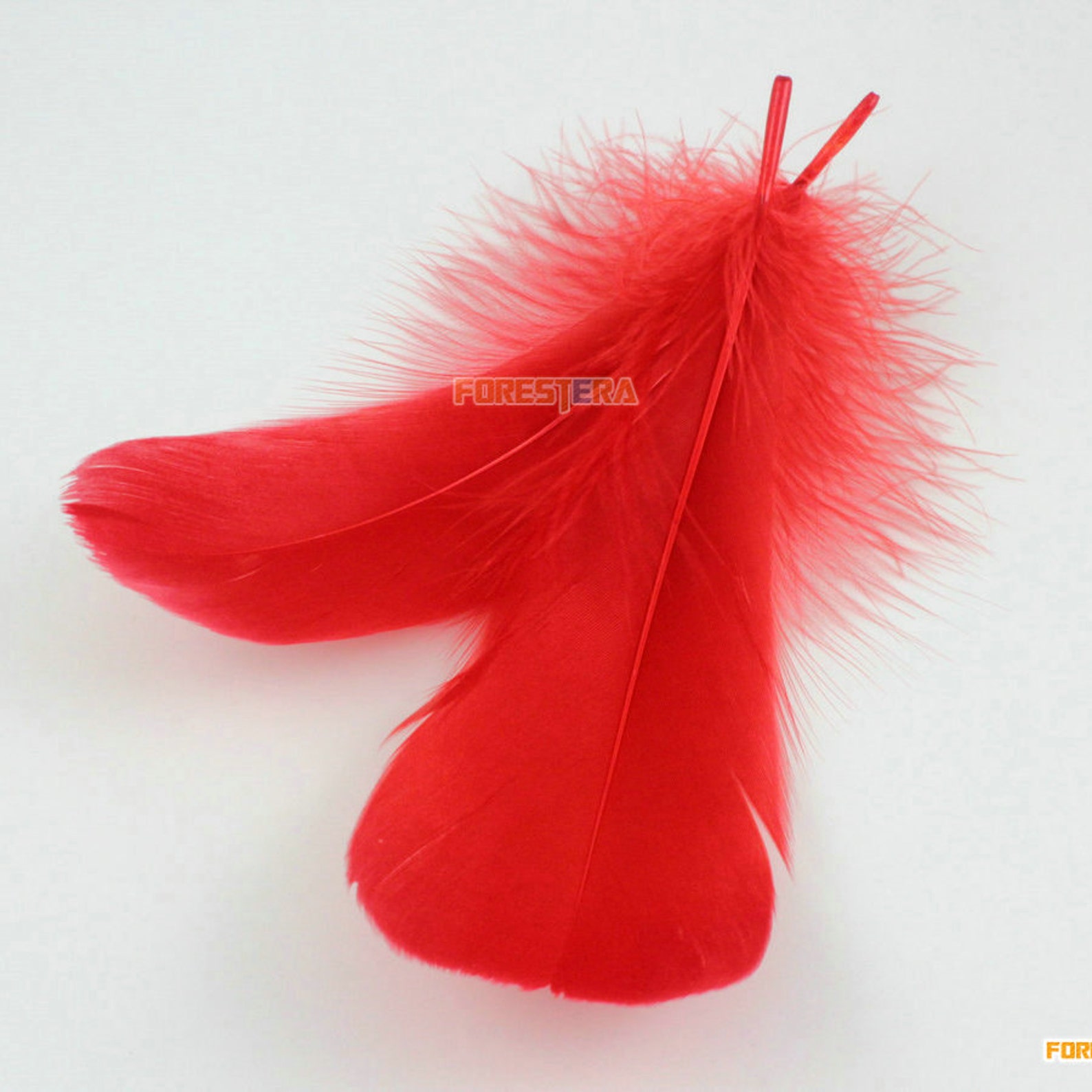 50 Piezas Pluma Roja 10-15cm YM96 - Etsy España