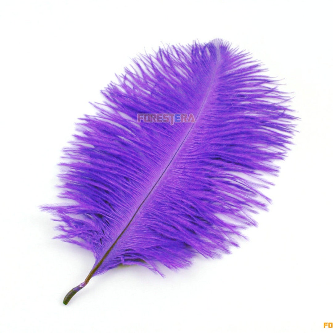 2 Pieces Purple Feather 20-25cm (YM122) - Etsy