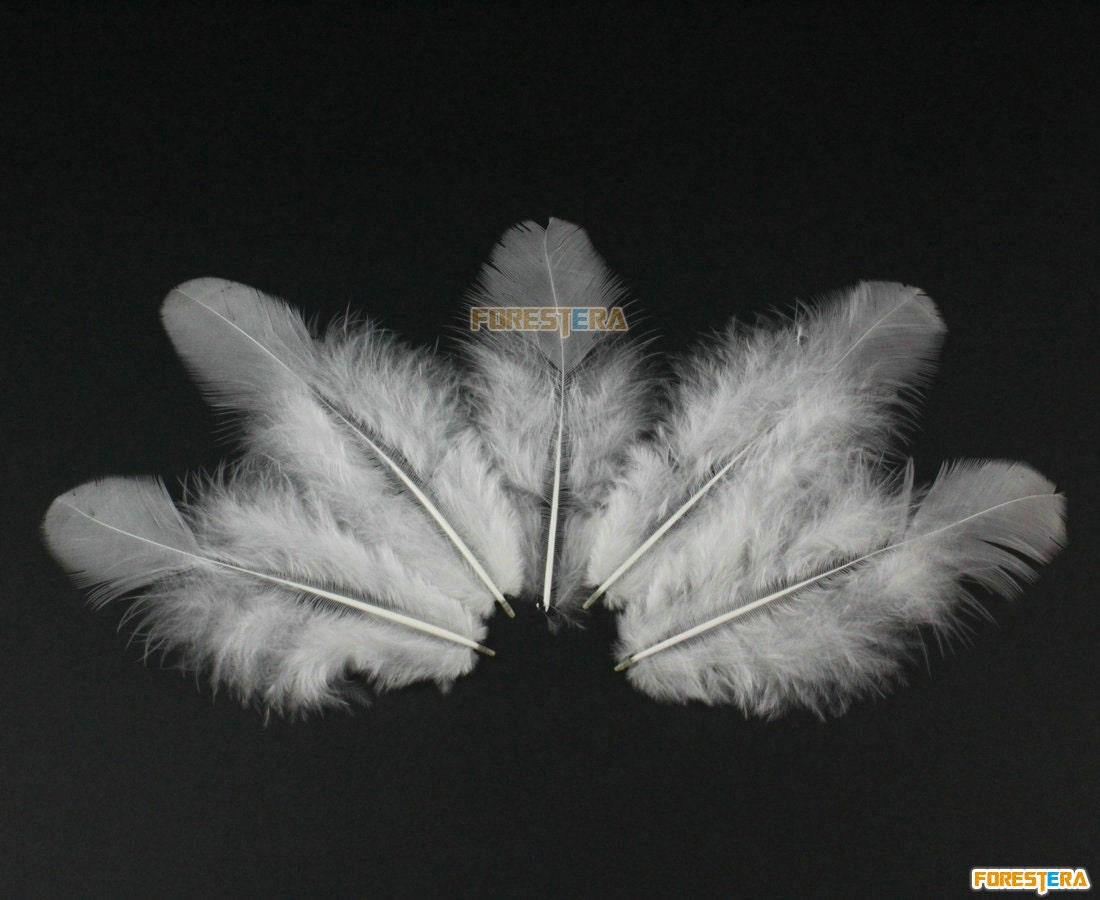 100 Pieces White Feather 4-10cm (YM15) - Etsy