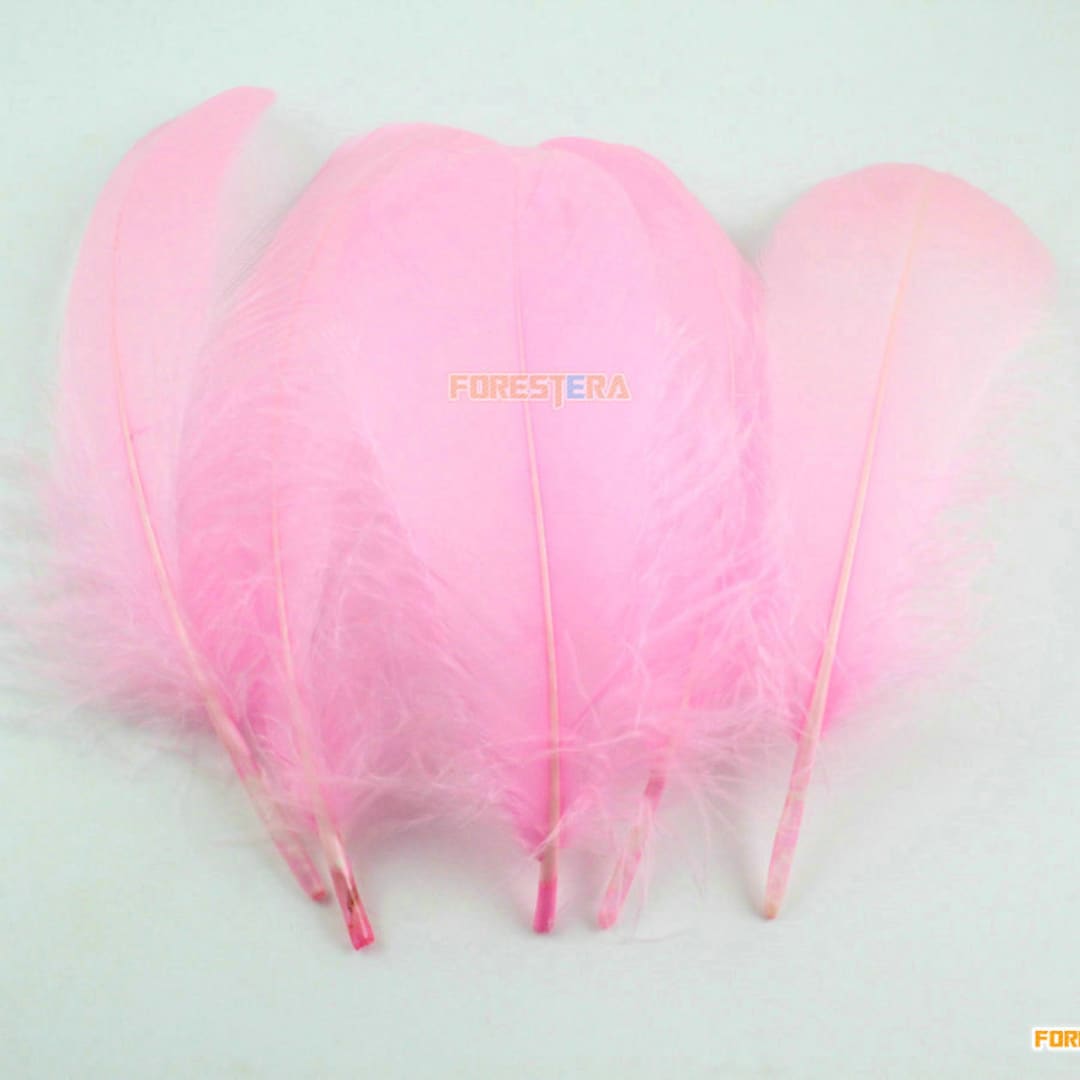 50 Pieces Pink Feather 10-15cm (YM98) - Etsy
