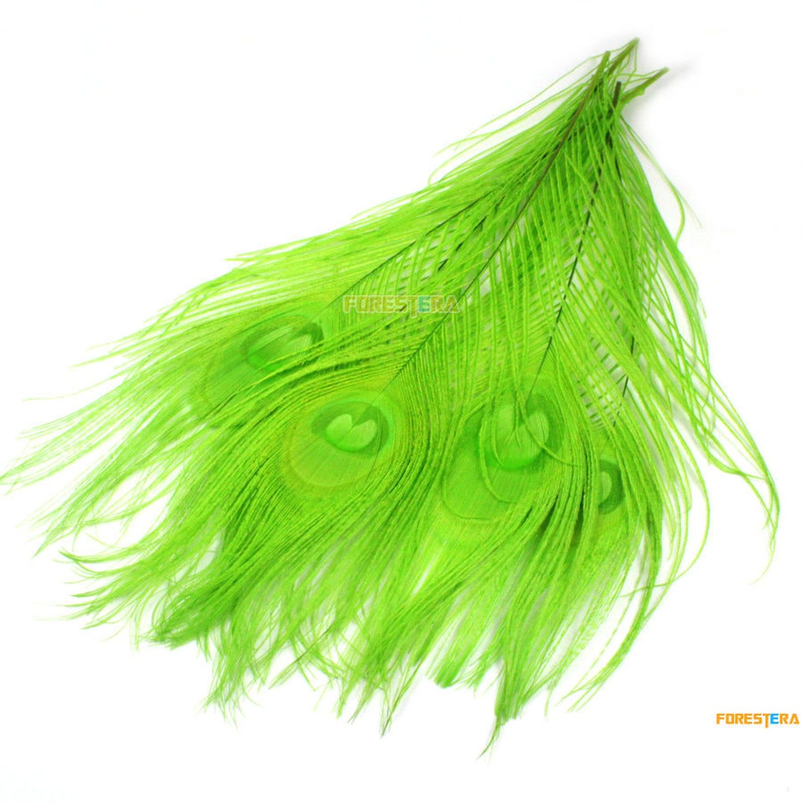 10 Pieces Green Peacock Feather 25-30cm YM304 | Etsy