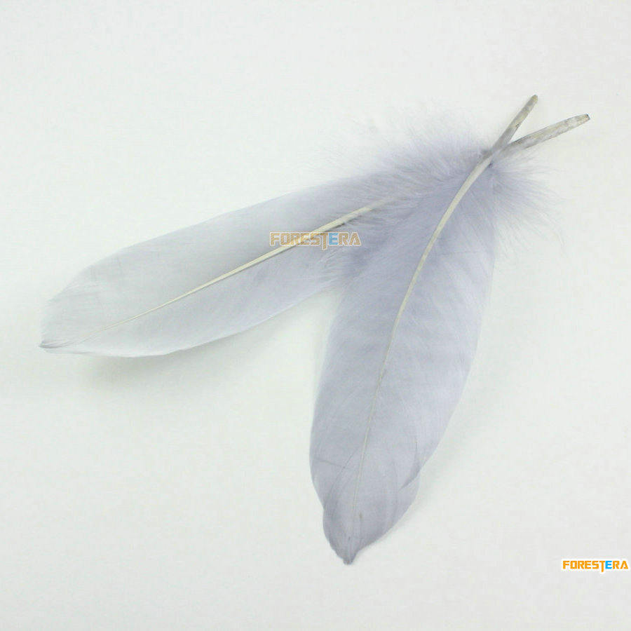 50 Piezas Pluma Gris 14-20cm YM339 | Etsy