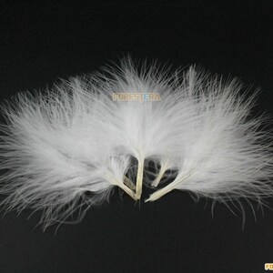50 Pieces White Feather 5-12cm (YM17) - Etsy