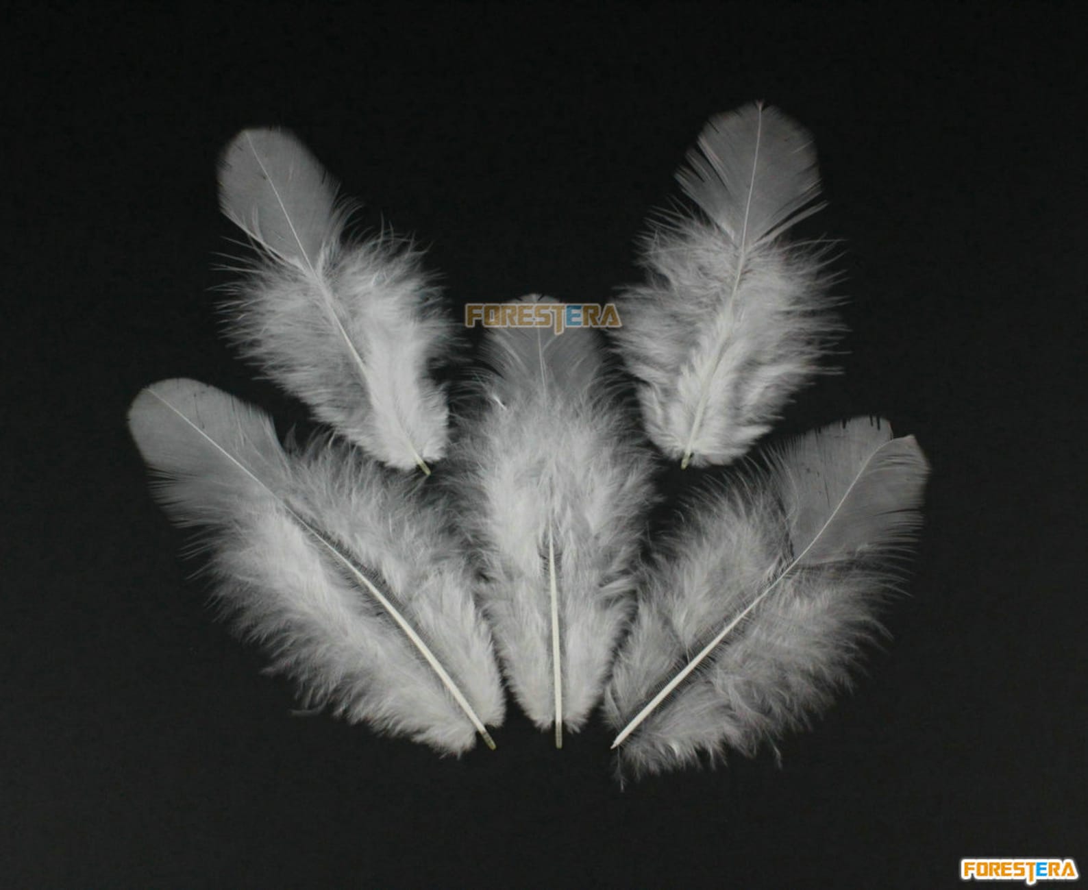 100 Pieces White Feather 4-10cm (YM15) - Etsy