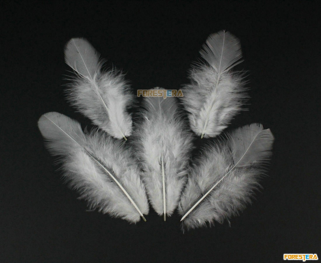 100 Pieces White Feather 4-10cm (YM15) - Etsy