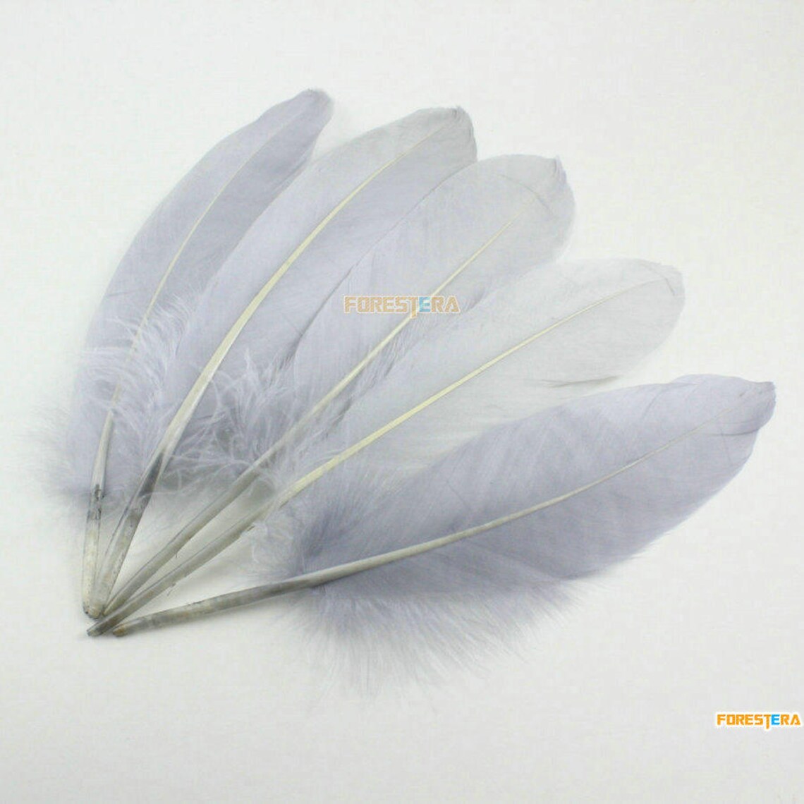 50 Piezas Pluma Gris 14-20cm YM339 - Etsy España