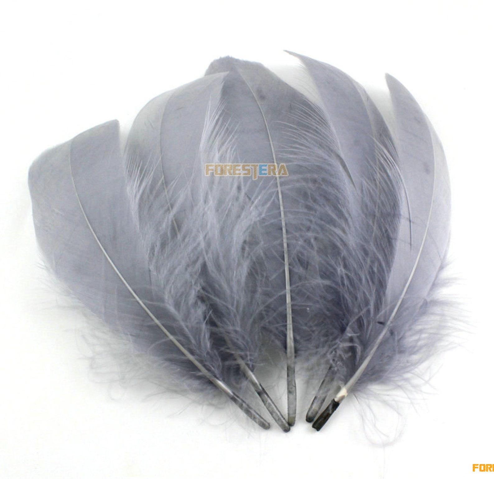 50 Pieces Gray Feather 10-15cm YM109 - Etsy