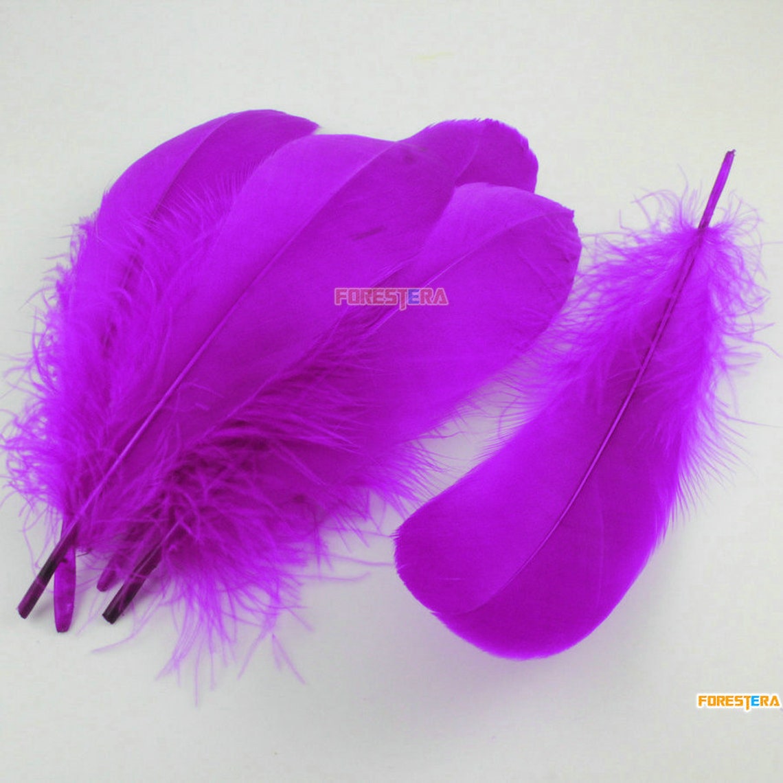 50 Pieces Purple Feather 10-15cm (YM102) - Etsy