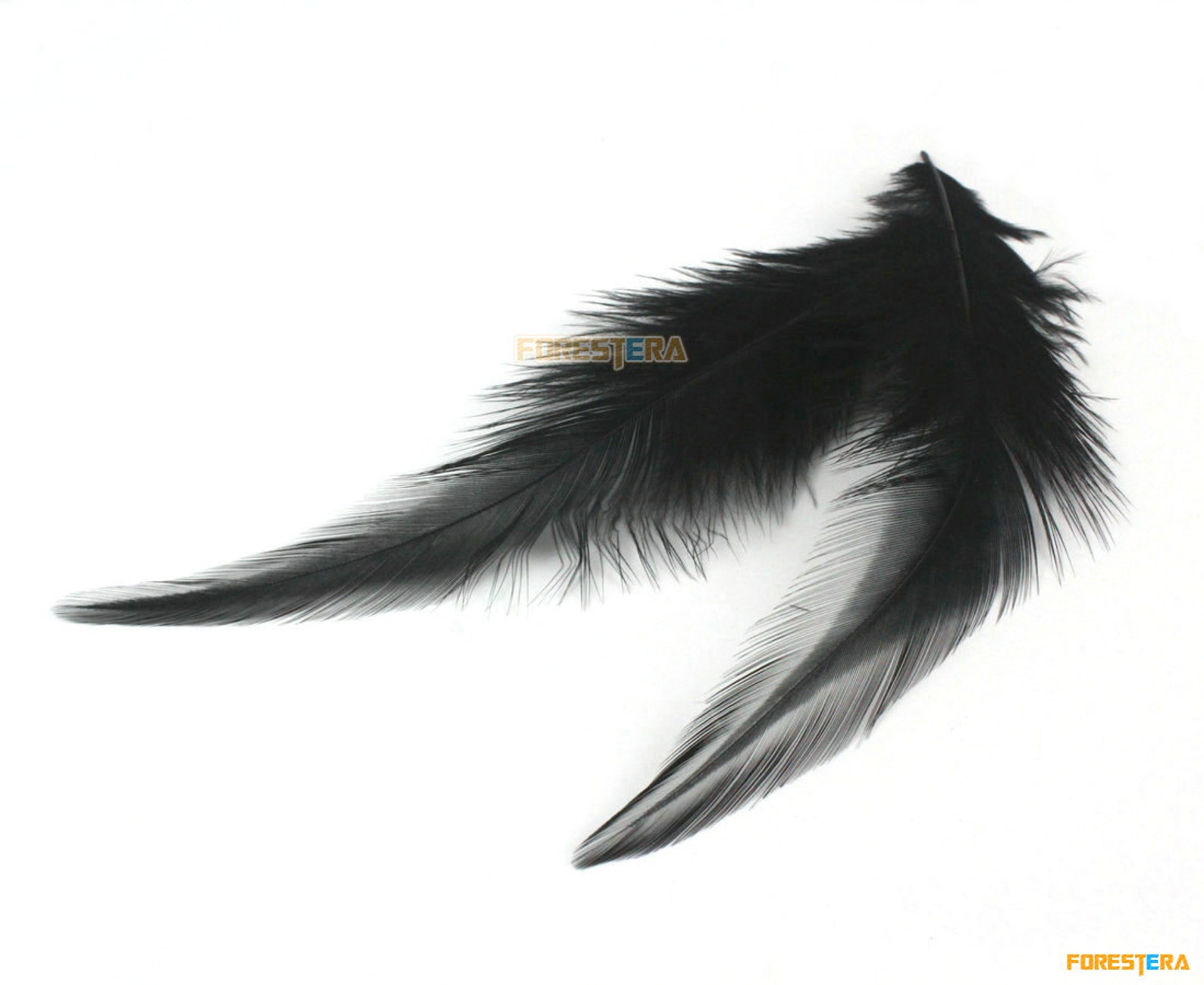 50 Piezas Pluma Negra 8-15cm YM47 - Etsy España