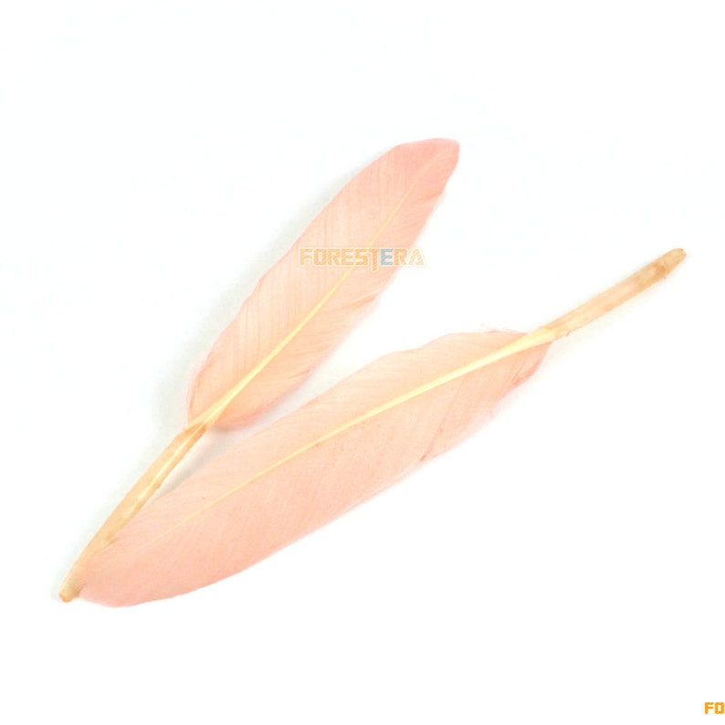 50 Pieces Peach Pink Feather 9-15cm YM145 | Etsy