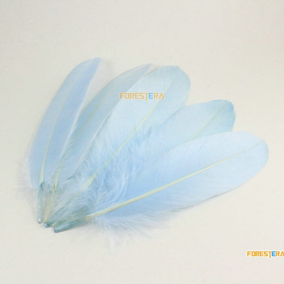50 Pieces Light Sky Blue Feather 14-20cm (YM458) - Etsy