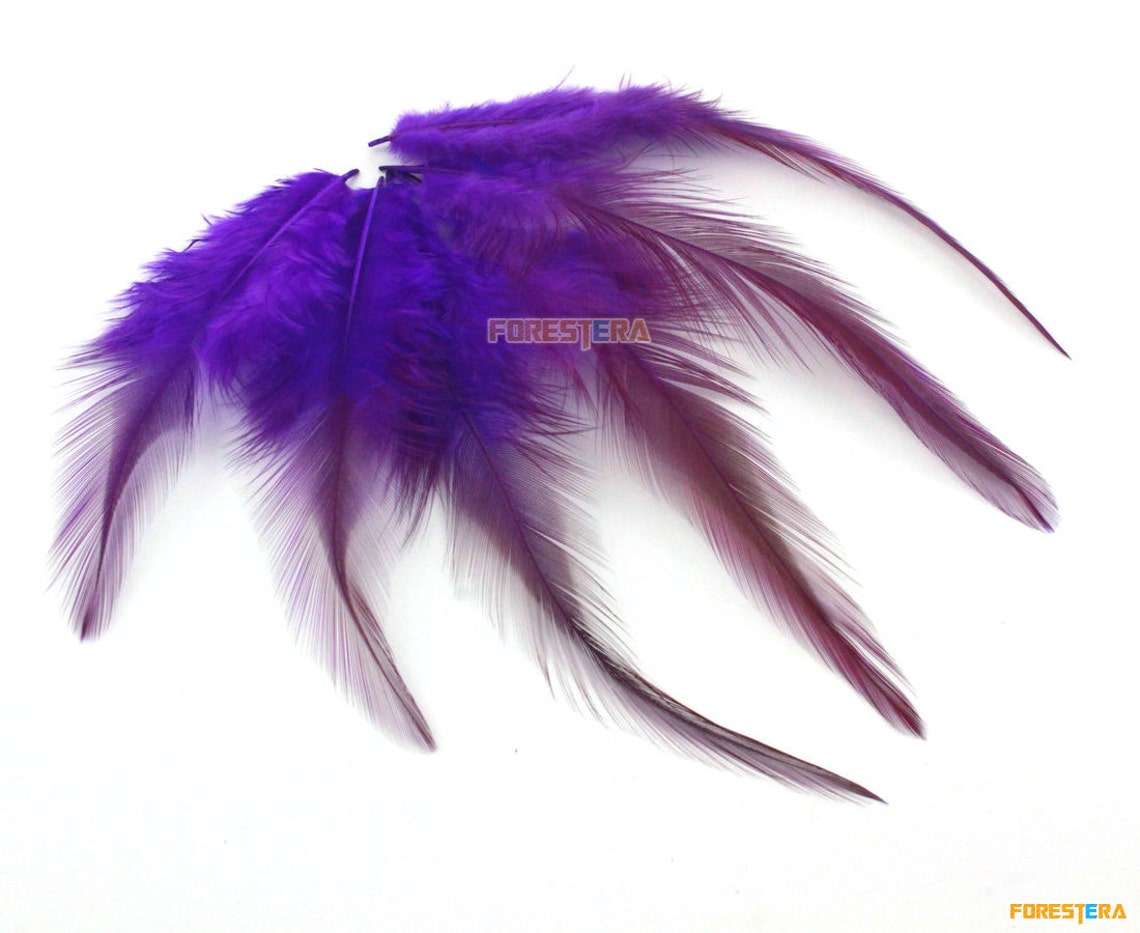 50 Pieces Purple Feather 8-15cm (YM49) - Etsy