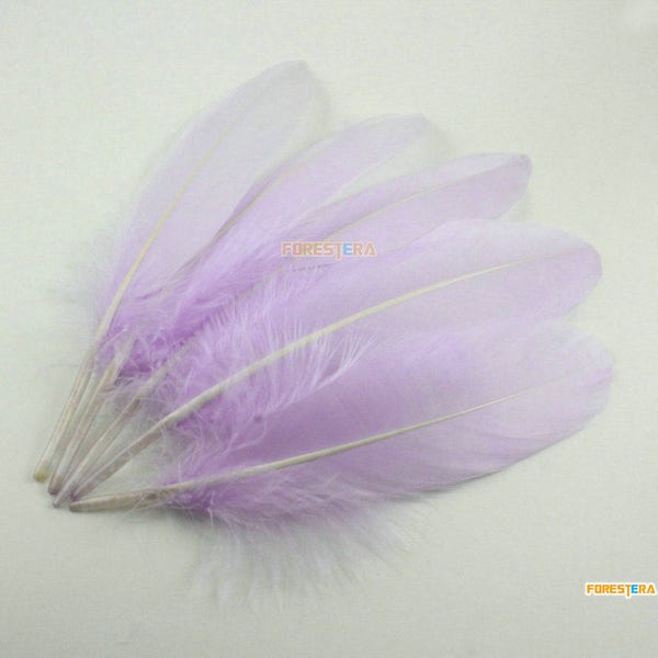 Purple Feather - Etsy
