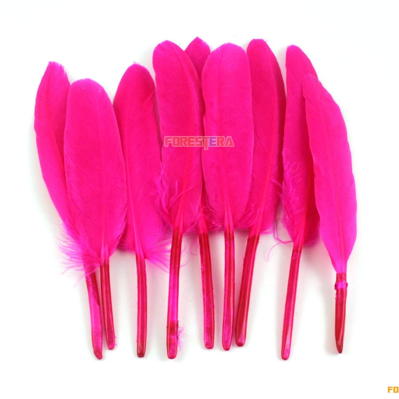 50 Pieces Dark Pink Feather 9-15cm YM148 - Etsy